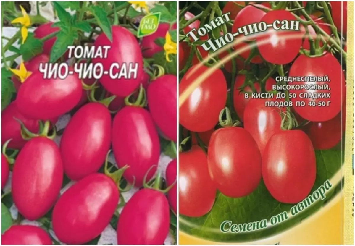 Pomidor tohumlary chio Çio san