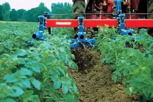 Typen cultivatoren voor onderrijpe bodemverwerking en hoe ze het zelf doen