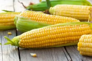 Top 50 best corn varieties with description and characteristics