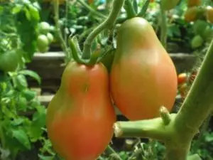 Descrición do tomate de tomate Rose, características de crecemento e colleita