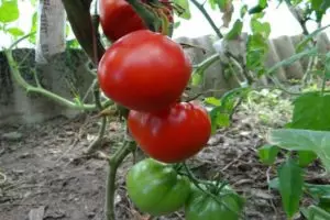 Descrición da variedade de tomate Raíña norte, características de crecemento e coidado