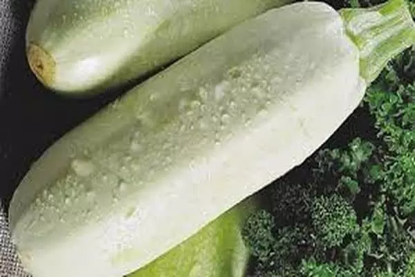 zucchini roader