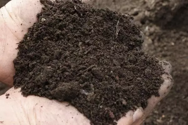 Полагане на почвата