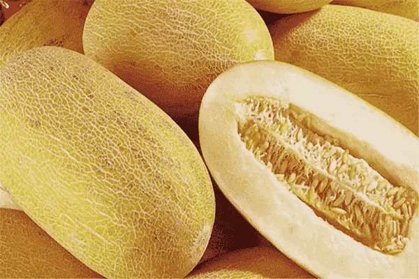 Melon Torpeda.