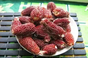 स्ट्रॉबेरी सजावटी मकई, इसकी लैंडिंग, खेती और देखभाल की किस्मों का विवरण