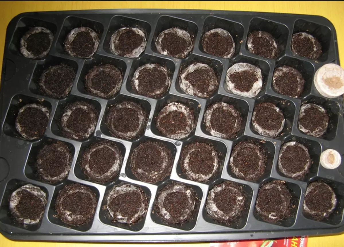 Tla za paradižnikova semena