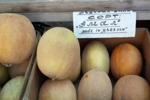 Popis melónu melónu, pristátie a pestovanie
