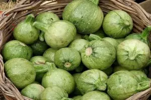 Description of the best grades of round zucchini, peculiarities of cultivation and care