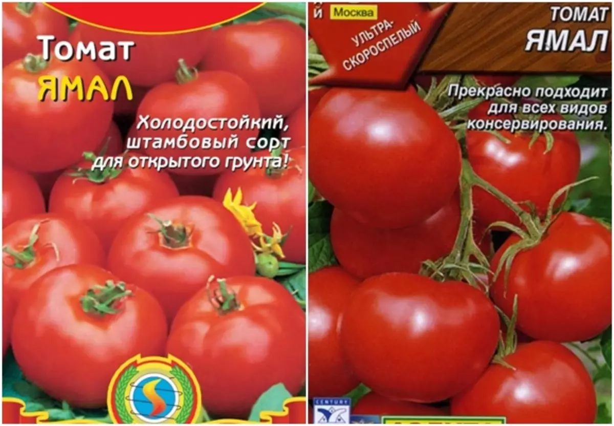Sjemenke paradajza Yamal