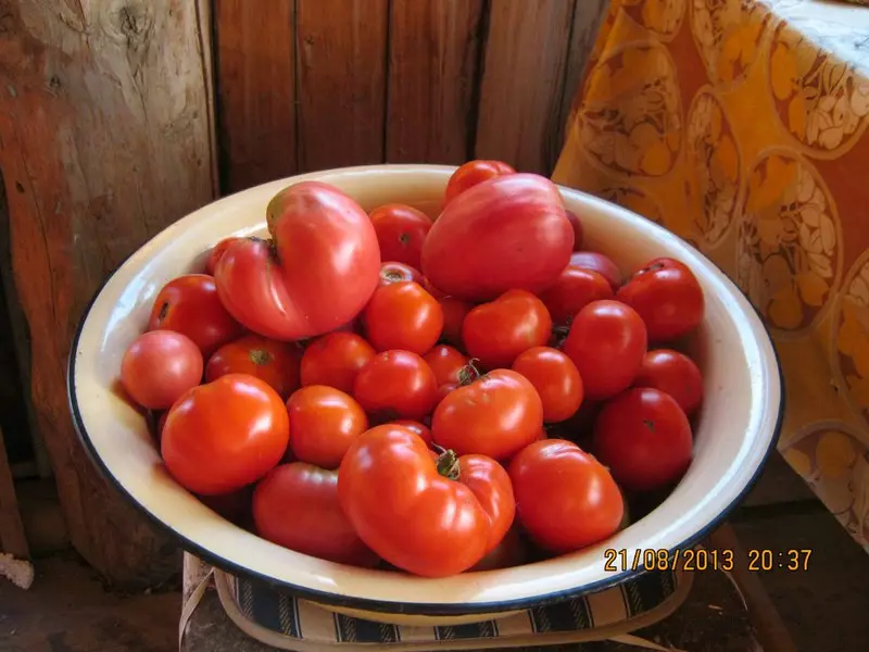 Tomato Yamal trong một cái bát