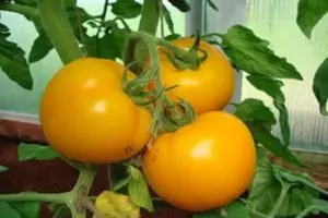 Περιγραφή της ποικιλίας της ντομάτας Eldorado και τα χαρακτηριστικά του