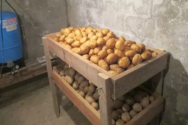 Vol kentang