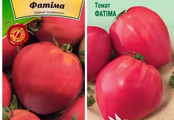 Pomidor fotima urug'lari
