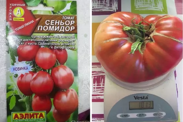 Imbuto za Tomatov