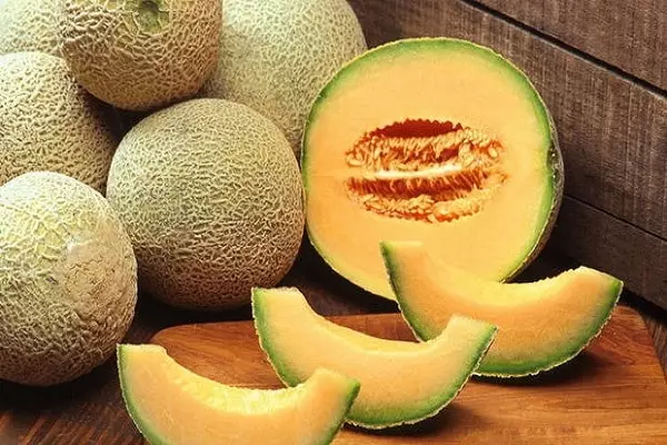 Melon Altai.