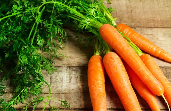 Από να τροφοδοτεί τα καρότα μετά από βλαστούς για την ανάπτυξη λαϊκών θεραπειών