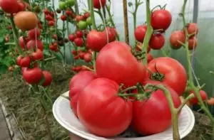 Paglalarawan ng tomato varieties prambuwesas alak, katangian nito at ani