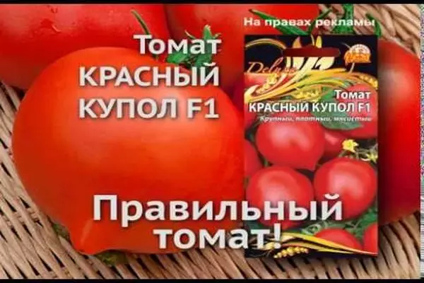 Opis pomidora pomidora czerwona kopuła, jego charakterystyka i wydajność