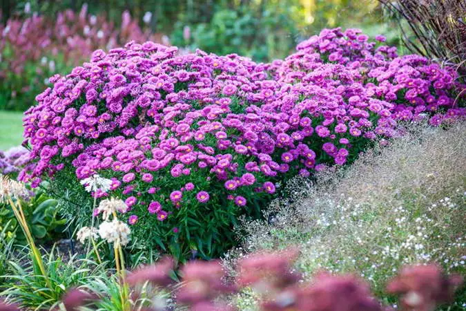 Settembre in giardino