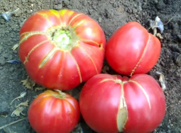 зовнішній вигляд томату бабусин секрет