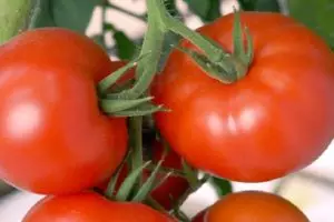 Tomati Akuliini tomati kirjeldus, selle iseloomulik ja saagis