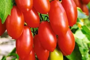 Descripción de la calificación de los dedos de azúcar de tomate, su característica y su rendimiento.