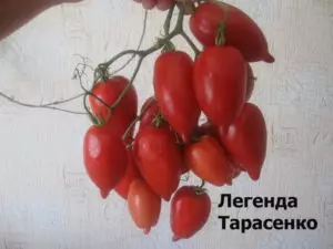 Kinaiya ug paghulagway sa Tararenko Legend Tararenko (Multiflora), ani niini