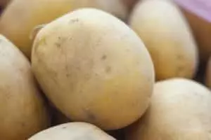 Descrição do grau de batatas meteoros, peculiaridades de cultivo e cuidado