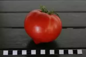 Beskrivning av Tomatomato F1 Tomat, Funktioner Växande och omsorg