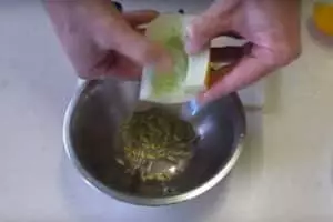 Comment collecter des graines de concombre à la maison avec vos propres mains?