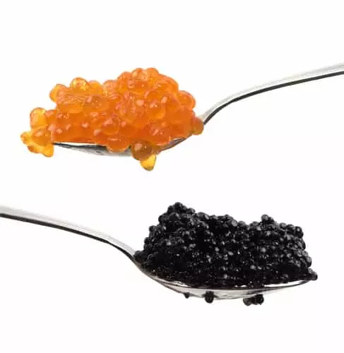 Royal snack with red and black caviar