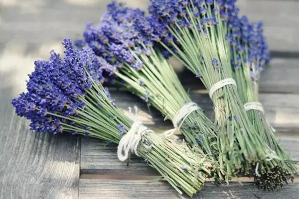 Bouquets lavender.