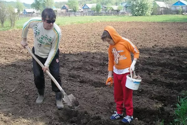 Método de germinação