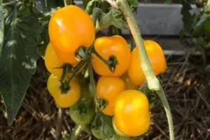 Kuvaus Tomaatin lajikkeen keltainen sydän ja sen ominaisuudet
