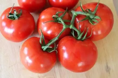 Tomato Blagovest.