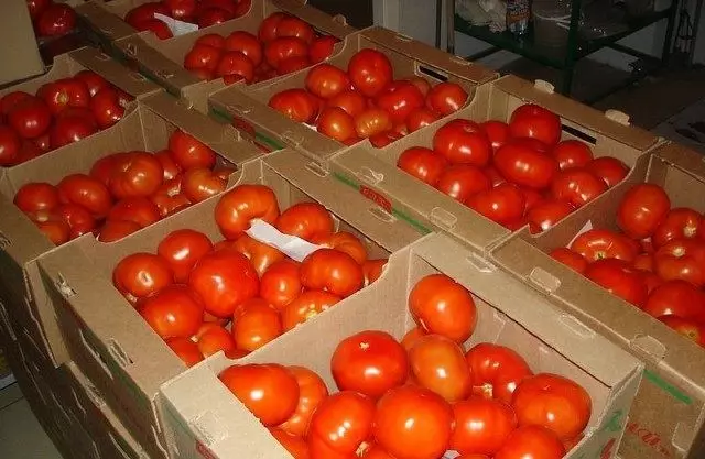 Vintage Tomato.