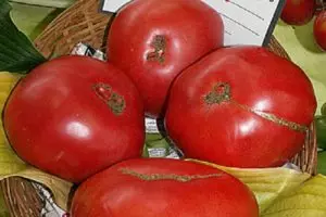 Descrição do namorado de tomate F1 tomate, características de crescimento e cuidados