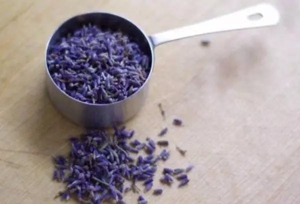 Osisi lavender