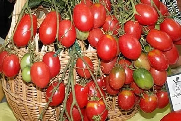 Tomato kembang.