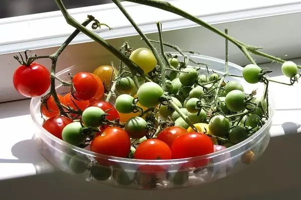 Tomato Pomisol.