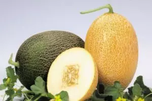 Popis melónu karamelu, pestovanie a starostlivosti