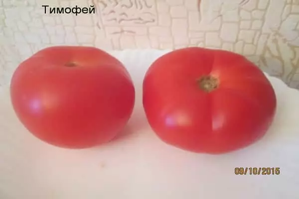 Budidaya tomat