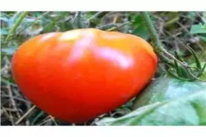 Característica e descrición do tomate tomate King Bell