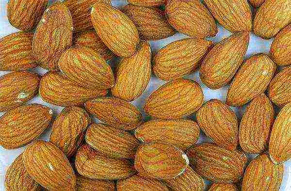 Buong almonds