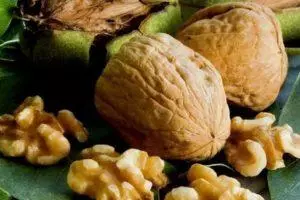 20 pinakamahusay na walnut varieties na may paglalarawan at katangian