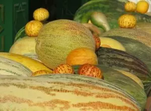 Katrangan saka melon varieties kanthi jeneng, sing kalebu jinis