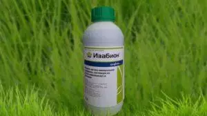 Izabion，肥料剂量和类似物的使用和组成说明