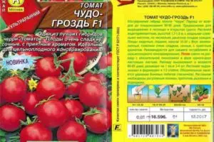 Description Tomato Miracle F1 and its characteristics