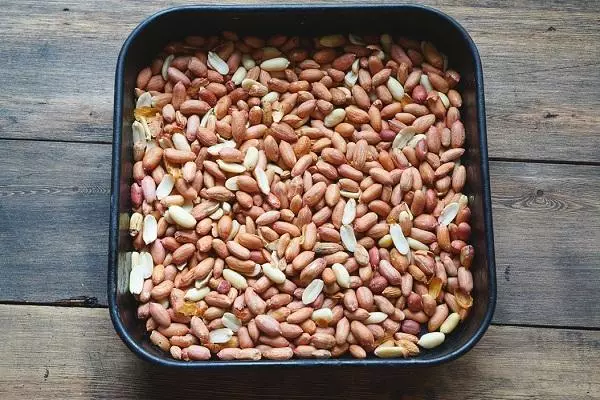 Bean-lajikkeet