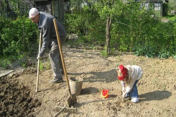 La preparació del sòl